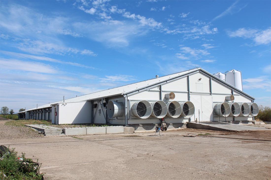 Steel Cattle Sheds Manufacturer | Prefab Livestock Shelter Buildings ...